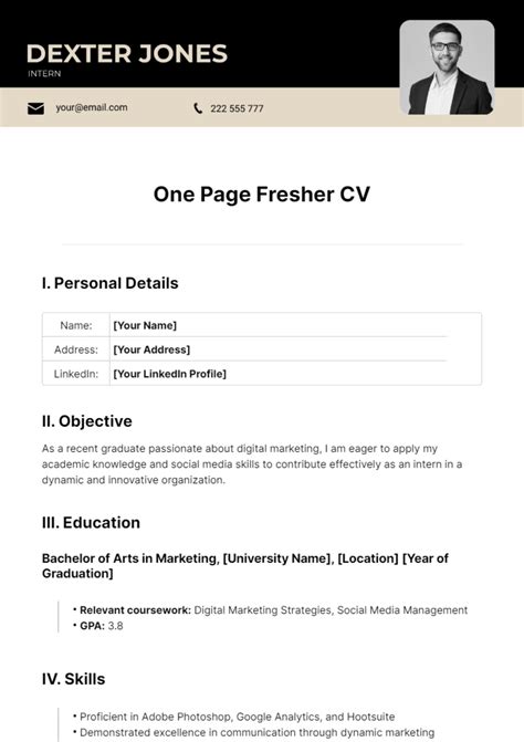Free One Page CV Templates To Edit Online And Download