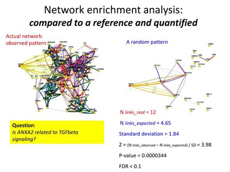 Ppt Gene Interaction Networks For Functional Analysis And