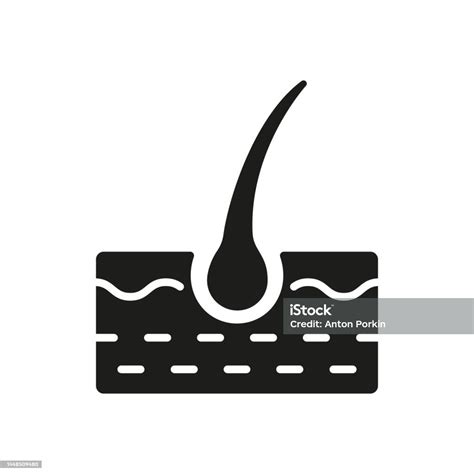 헤어 벌브 실루엣 아이콘 남자 여포 블랙 픽토그램의 구조 과학 또는 피부과를위한 헤어 전구의 아이콘 격리된 벡터 일러스트 레이