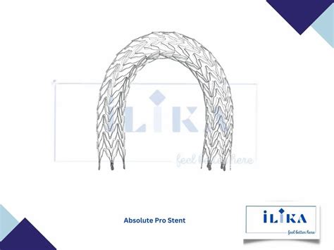 Absolute Pro Stent For Hospital At ₹ 22399 In Surat Id 2856440489512