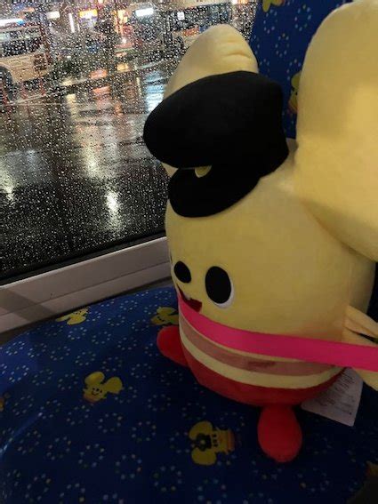 書泉 乗り物 【営業時間11時～20時】 On Twitter 【グランデ】昨日かなみんバスに乗ったところ運転手さんのすぐ後ろの席にかなみ