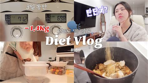 Dietvlog 3일동안 14kg 빼는 다이어트 브이로그 😀 Tmt 타이트한 다이어트란 뭘까 🤔 70kg 다이어트