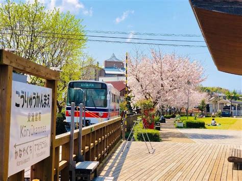 お花見有田川町