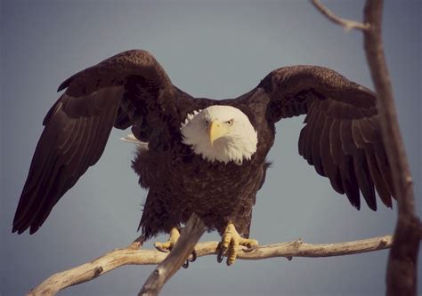 The Product Launch Framework Used By Prodpad