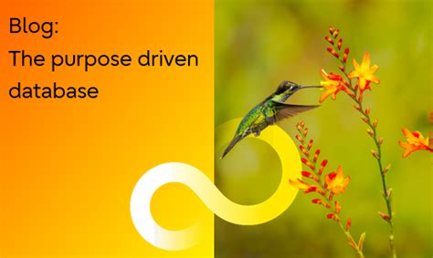 The Purpose Driven Database