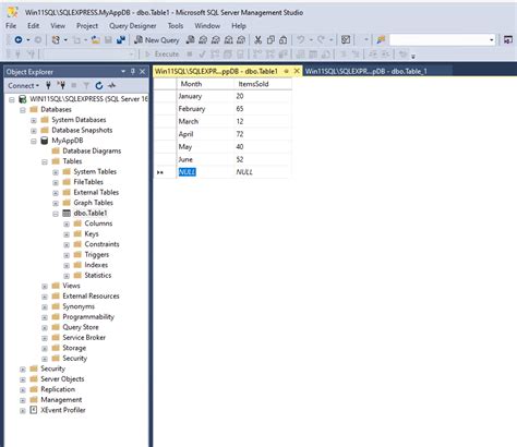 간단한 Ms Sql 서버 데이터베이스 구축하기