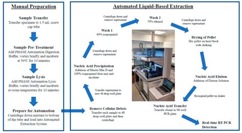 Workflow Of The Automated High Throughput Liquid Based Rna Extraction