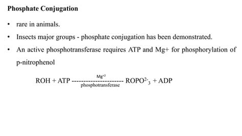 Insecticide Metabolism Phases And Examples Pptx