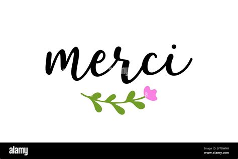 Hand Sketched Merci Quote In French As Logo Translated Thank You