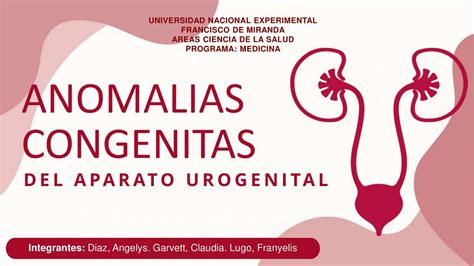 Anomalías Congénitas del Aparato Urogenital claudia garvett uDocz