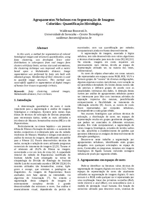 Pdf Agrupamentos Nebulosos Em Segmentação De Imagens Coloridas