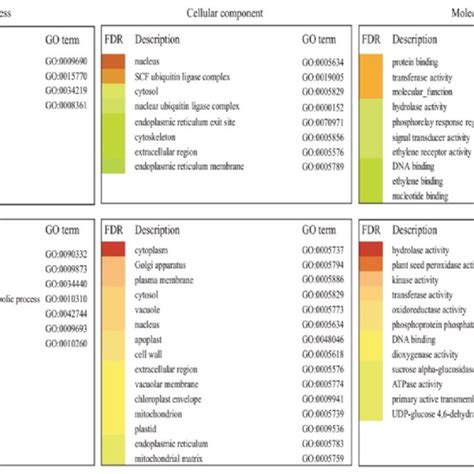 Go Enrichment Analysis Of Two Clusters In The Cluster Analysis The