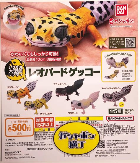 【公式】ガシャポン横丁＆福光屋御徒町店） Gashaponameyoko Twitter