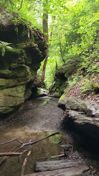 You Never Know Whats Around The Corner While Exploring These Canyons