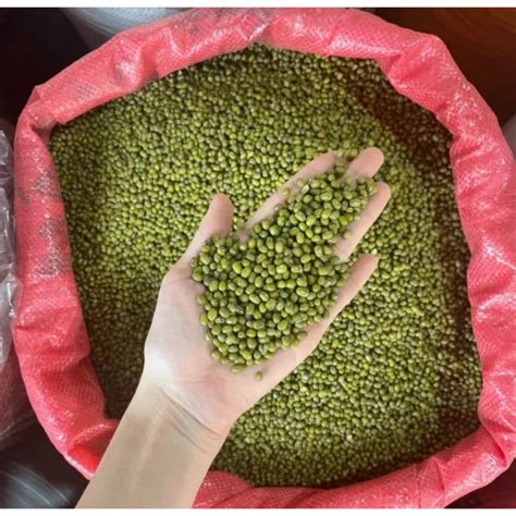 3kg ĐẬu Xanh HẠt ĐỖ Xanh HẠt HÀng ChuẨn ĐẸp Nấu Xôi Nấu Cháo Nấu