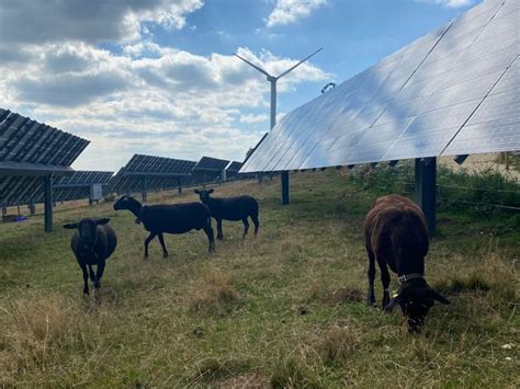 Geht Doch Und Das Seit über 30 Jahren Berner Jura Vs Vs 1 0 Daniel Aregger