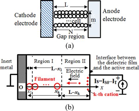 A Schematic Diagram Of The Cell Based Geometric Model B Schematic Download Scientific