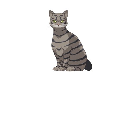 Zakuro Cat Chuuzenji Sensei Mononoke Kougiroku Sensei Ga Nazo Wo Hodoite Shimau Kara