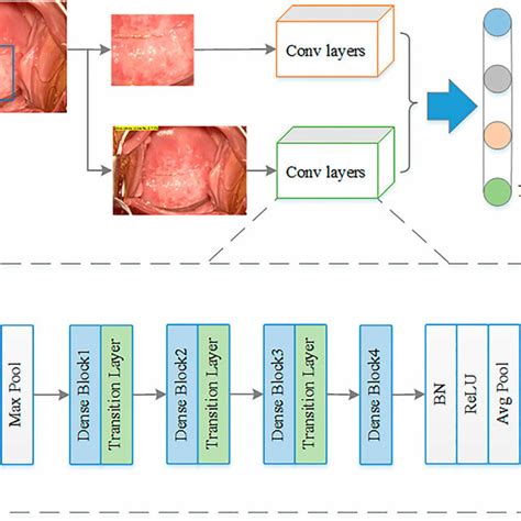 The Overall Architecture Of The Multi Branch Cnn Download Scientific