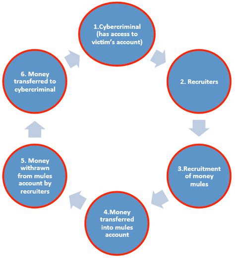 Money Mules In Money Laundering Cycle Arevalo 2015 Vedamanikam And