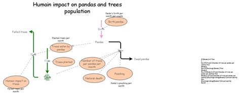 Humain Impact On Pandas And Trees Population Insight Maker