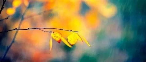 31 46岁，人生的黄金15年不要错过了 知乎