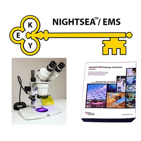Nightsea Fluorescence Viewing Systems