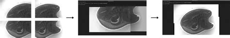 free stitching tool for montaging microscope images indigo scientific