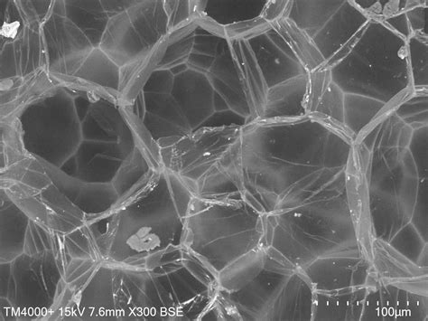 Scanning Electron Microscopy And Energy Dispersive X Ray Spectroscopy