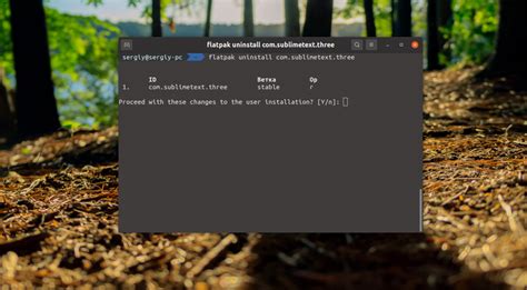 Установка Sublime Text 3 Ubuntu 2004 Losst