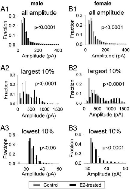 E2 Treatment 24 H Increases The Amplitude Of Spontaneous Synaptic Download Scientific Diagram
