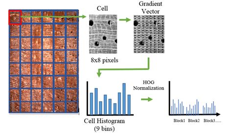 Hog Histogram Of Oriented Gradients An Amazing Feature Extraction