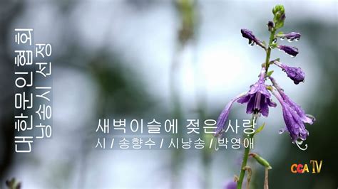 시낭송 송향수 새벽이슬에 젖은 사랑 시낭송 박영애 낭송시 선정 Youtube