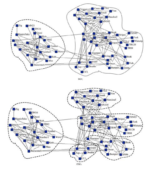 谱分析与启发式遗传算法相结合的多尺度社区检测方法