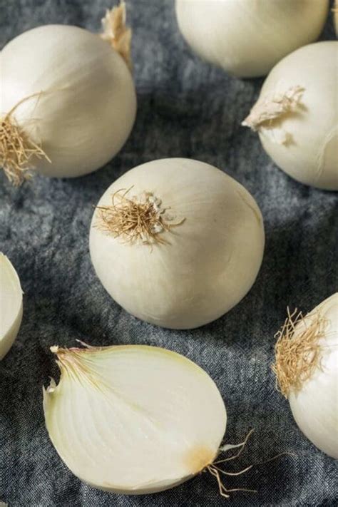 Leek Substitute Options 6 Sleek Alternatives