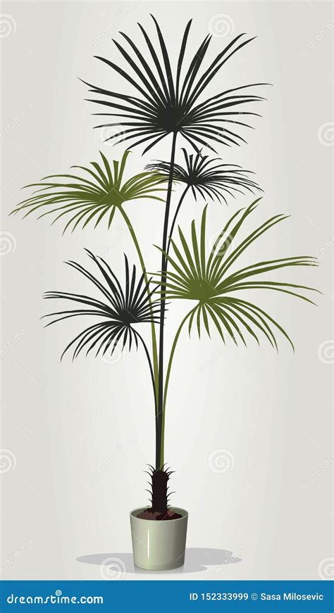 Realistic Houseplant Icon Set Cartoon Vector 114775495