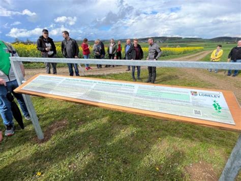 Nochern Als Geografischer Mittelpunkt Der Verbandsgemeinde Loreley