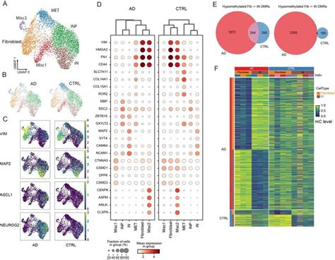 Single Nucleus Methylome And Transcriptome Sequencing Snmct Seq