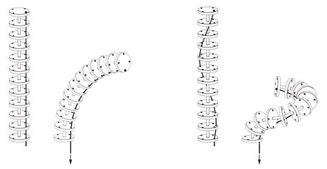 Tendon Driven Continuum Robots