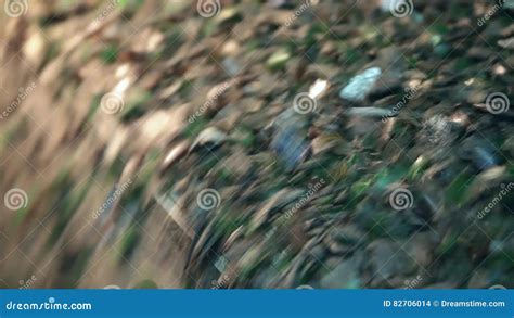 Glass Particles For Recycling In A Machine In A Recycling Facility Stock Footage Video Of