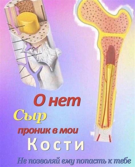хуёвый культ жизненная форма человеческой сущности в хуе 2024