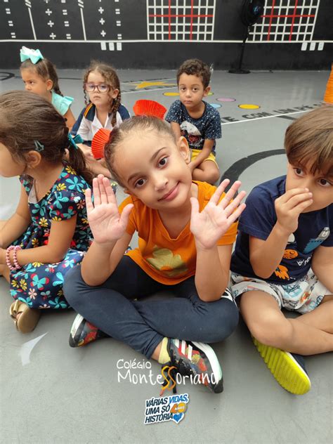 Aniversário Do Monte 41 Anos Colégio Montessoriano