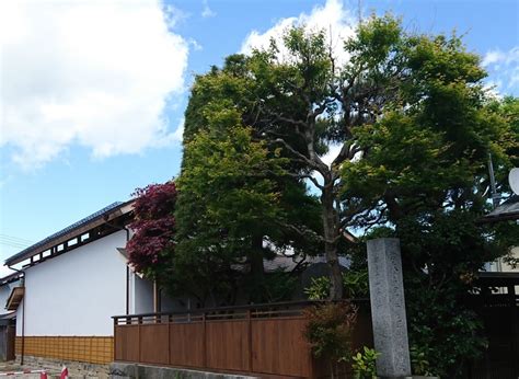 旧脇本陣柳屋旅館 蔵座敷改修工事 工事実績お客様の声 曳家の安藤工業 福島県の曳家専門業者