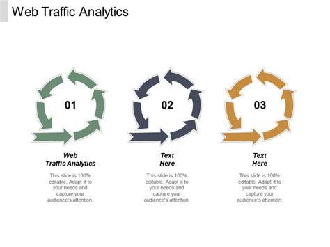 Web Traffic Analytics Ppt Powerpoint Presentation Inspiration Outfit Cpb