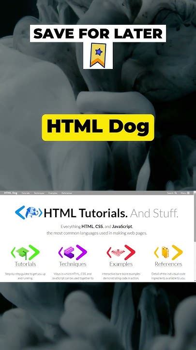 Master Html With Ease Top 10 Trending Websites For Ultimate Learning Shrots Html Webdesign