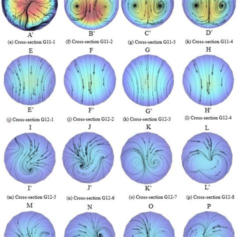 Velocity Contours And Secondary Flow Vectors Under The Rest Breathing Download Scientific