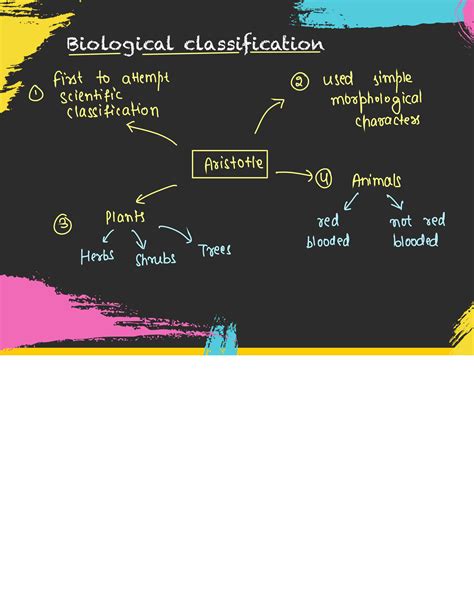 Solution Biological Classification Handmade Flowchart Studypool