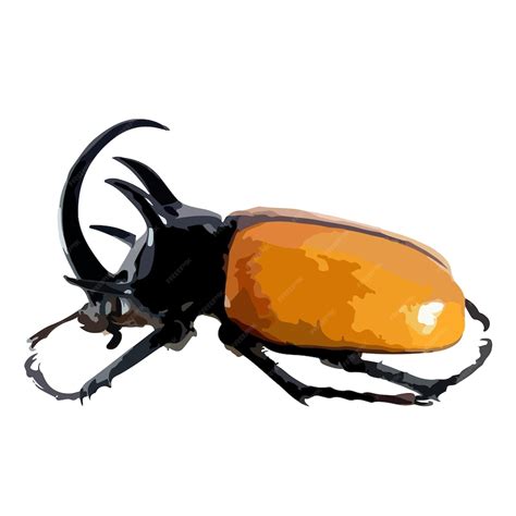 Premium Vector Graphical Hand Drawn Bugs Vector