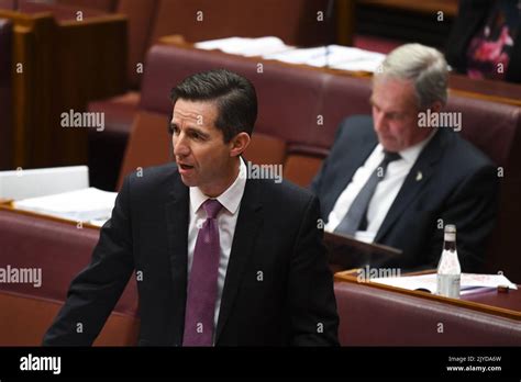 Australian Trade Minister Simon Birmingham Speaks During Senate