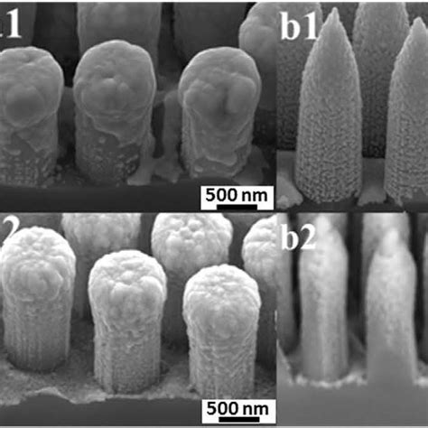 Schematic Illustration Of Silicon Nanostructure Arrayed Solar Devices